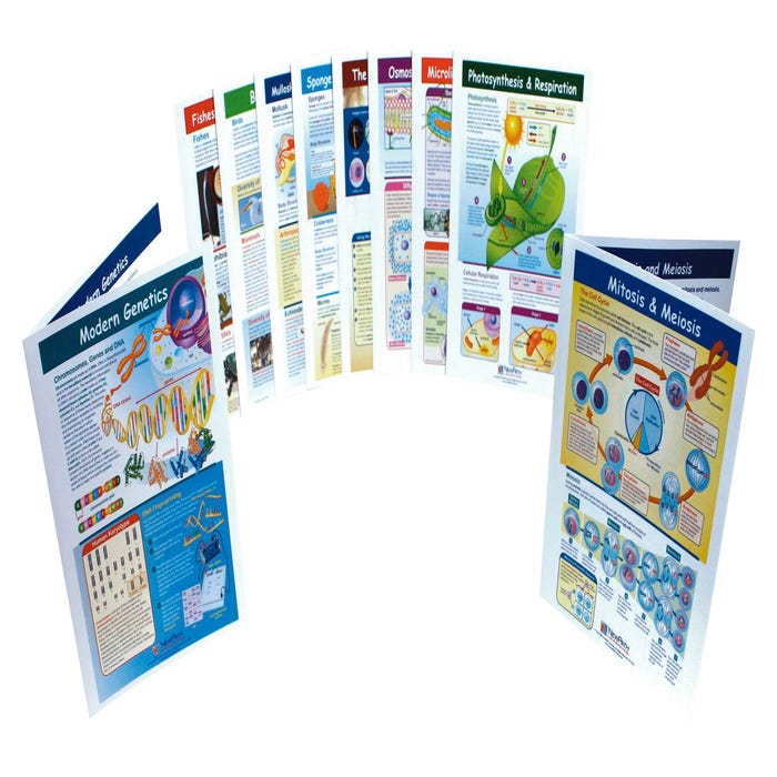 Middle School Life Science Visual Learning Guides Set